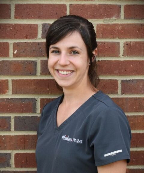 Veterinarian in Cincinnati, OH 45236 - Whiskers and Paws Animal Hospital